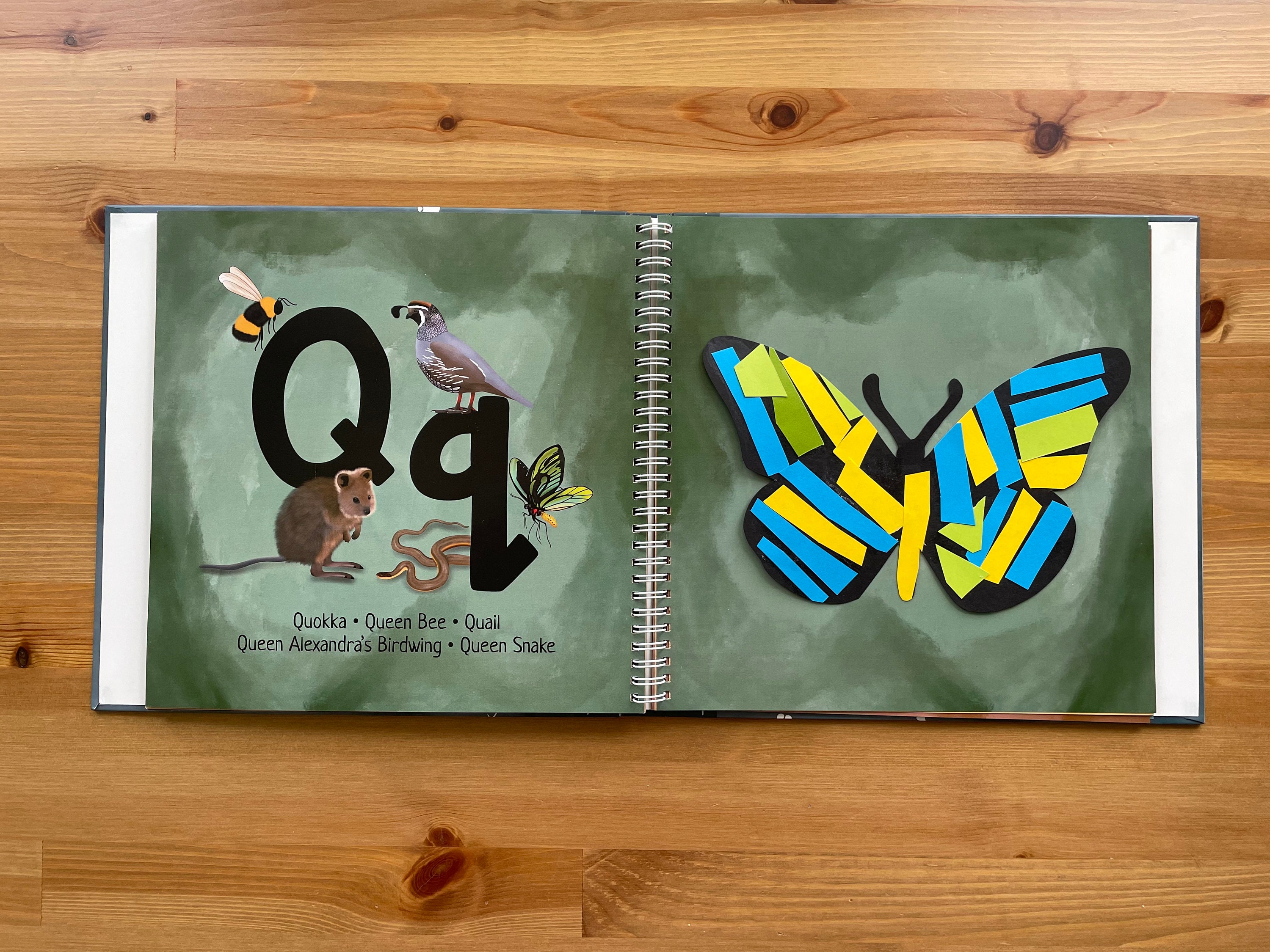 Little Explorer Complete Gift Set | Exploring the Alphabet Scrapbook ...