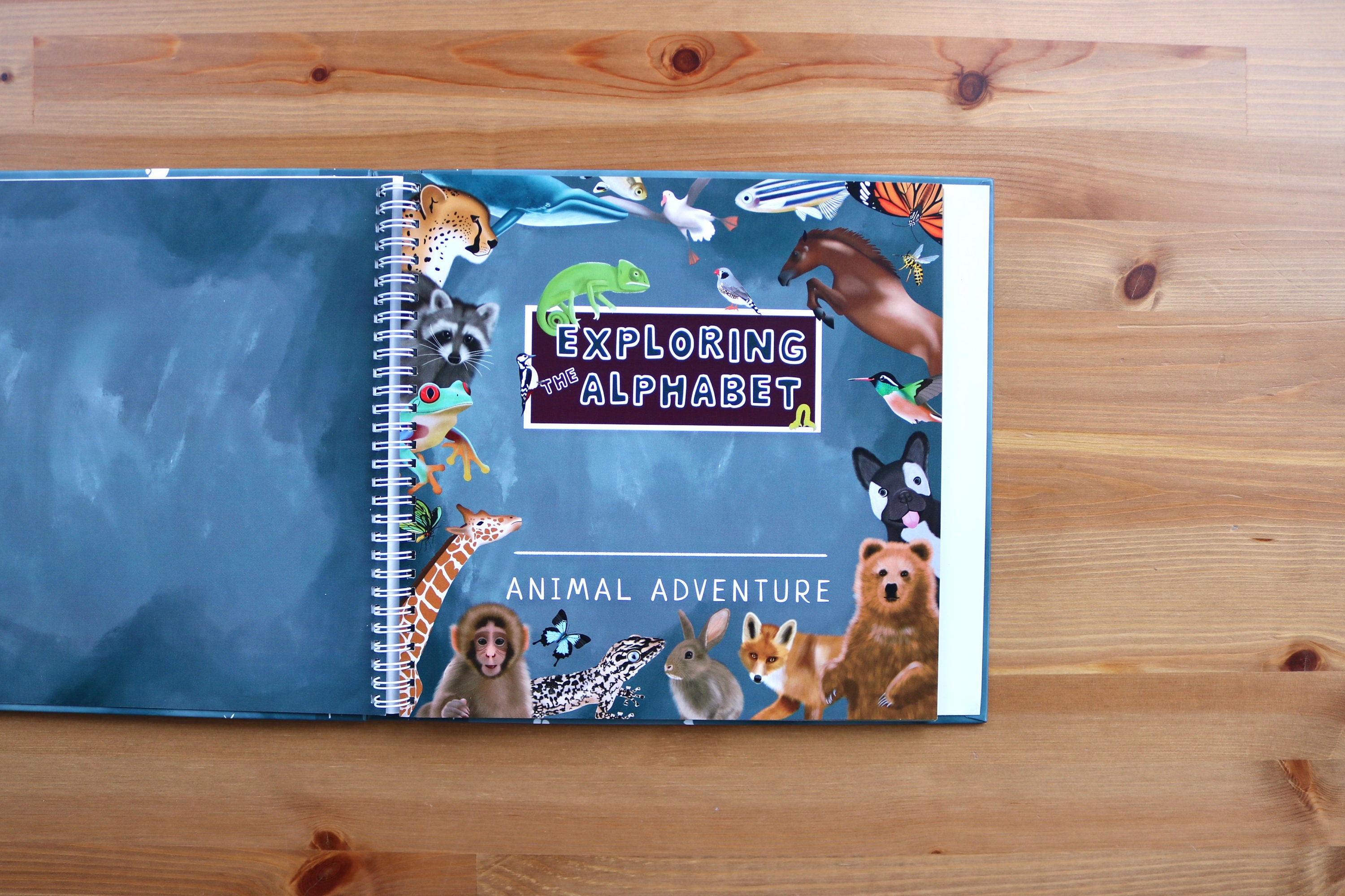 Exploring the Alphabet Scrapbook | Animal Adventure Memory Book Photo ...