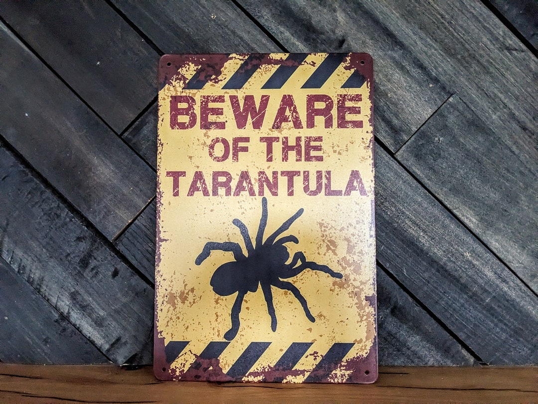 Beware of the Birds Sign - Etsy