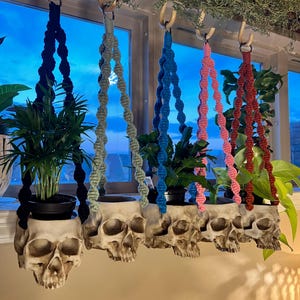 Macrame Skull Plant Holder | Skeleton Skull Pot Holder | Halloween ...