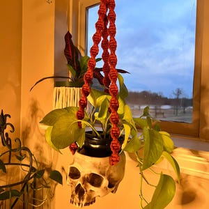 Macrame Skull Plant Holder | Skeleton Skull Pot Holder | Halloween ...