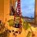 Macrame Skull Plant Holder | Skeleton Skull Pot Holder | Halloween ...