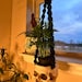 Macrame Skull Plant Holder | Skeleton Skull Pot Holder | Halloween ...