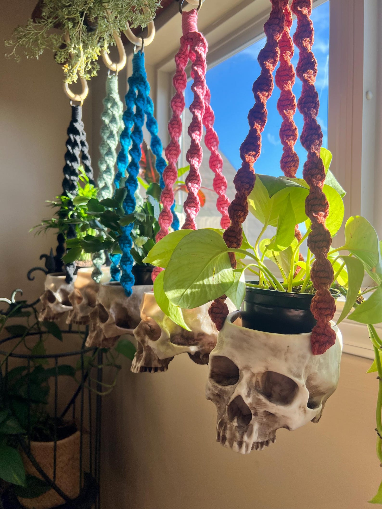 Macrame Skull Plant Holder | Skeleton Skull Pot Holder | Halloween ...