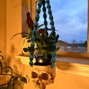 Macrame Skull Plant Holder | Skeleton Skull Pot Holder | Halloween ...