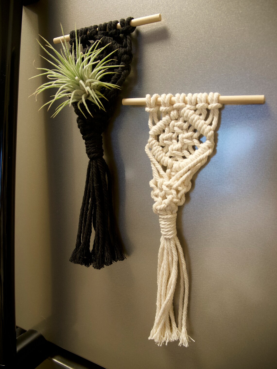 Macrame Air Plant Magnet | Braided Plant Hanger | Air Plant Display ...