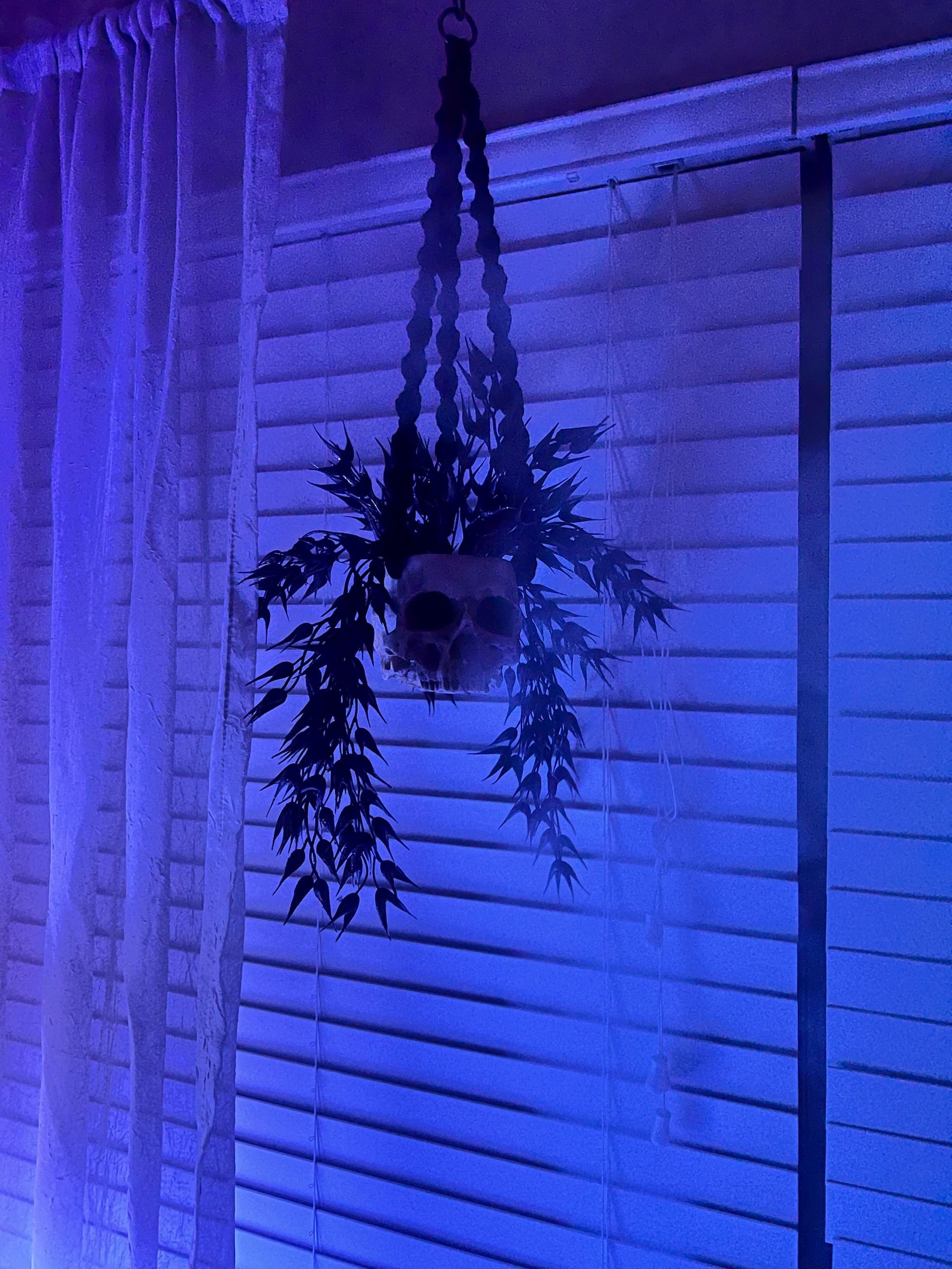 Macrame Skull Plant Holder | Skeleton Skull Pot Holder | Halloween ...