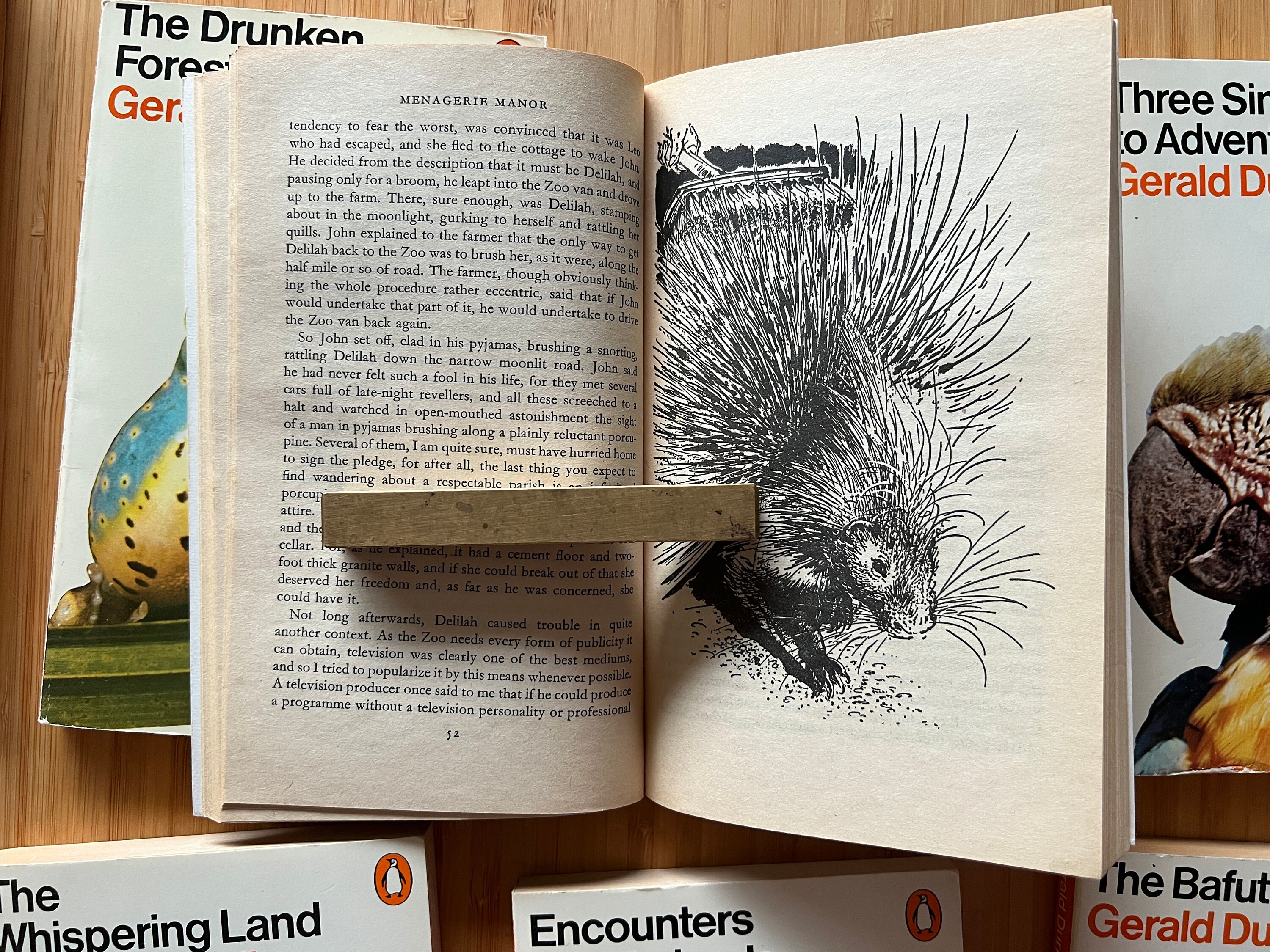 Gerald Durrell Penguin Box Set, British Naturalist, Zoo Chronicles - Etsy