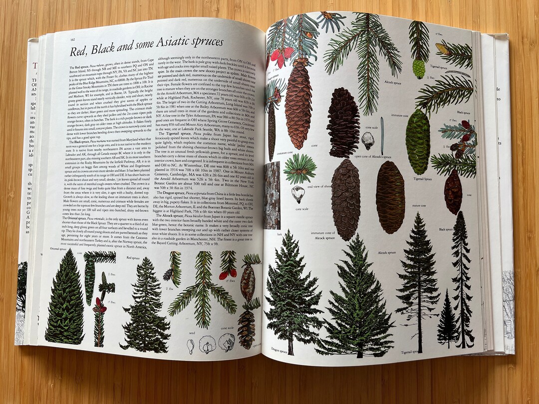 The Guide to Trees of Canada and North America by Alan Mitchell ...