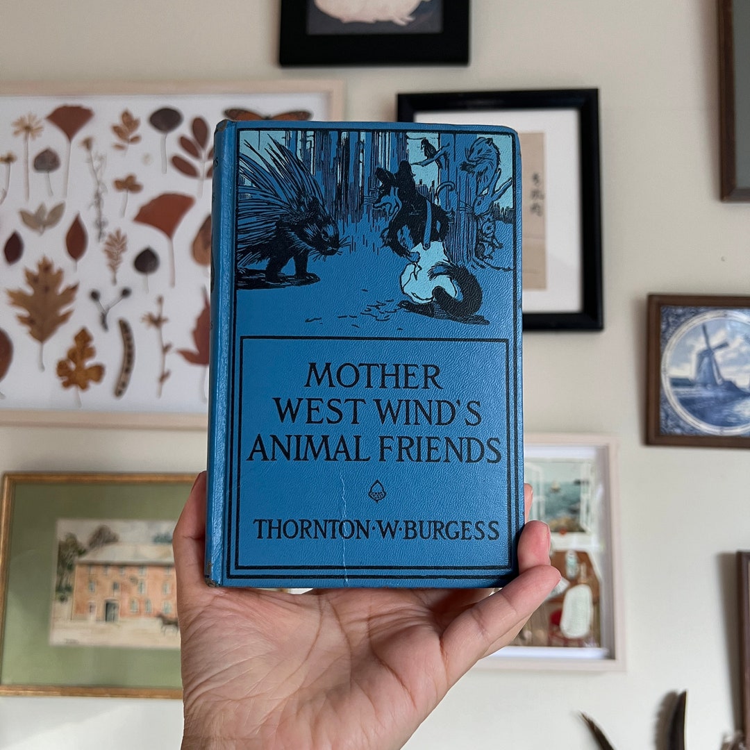 Mother West Wind's Animal Friends by Thornton.w.burgess 1912, Mother ...