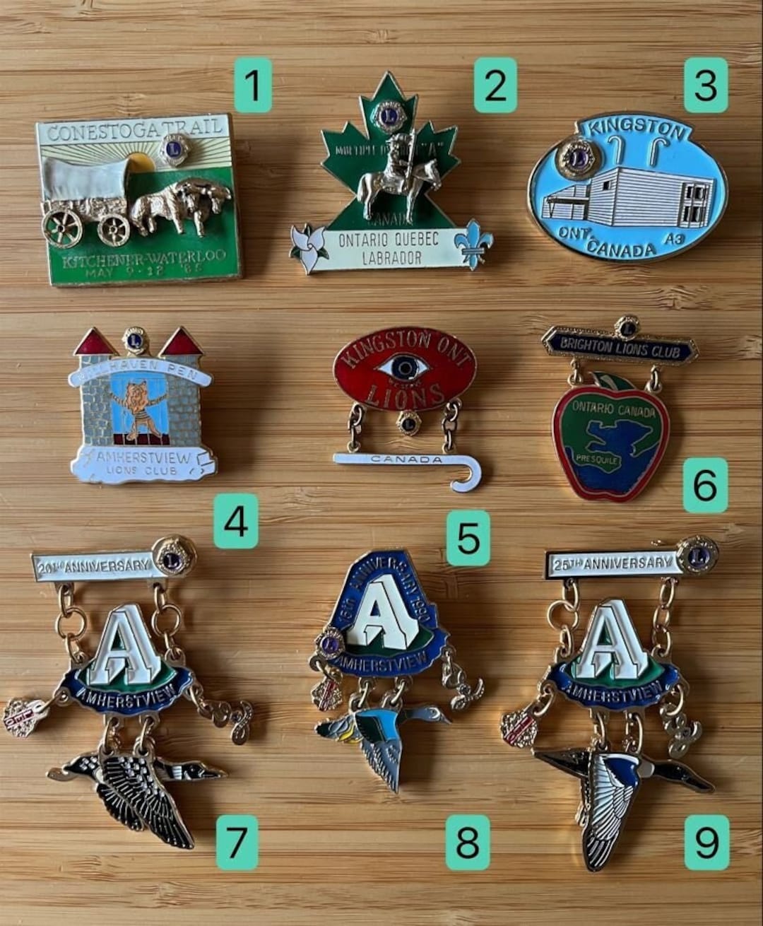 Rare Lions Club Pins, Collectable Pins, Enamel Pins, Lions Club Canada ...