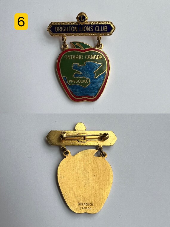 Rare Lions Club Pins, Collectable Pins, Enamel Pins, … - Gem
