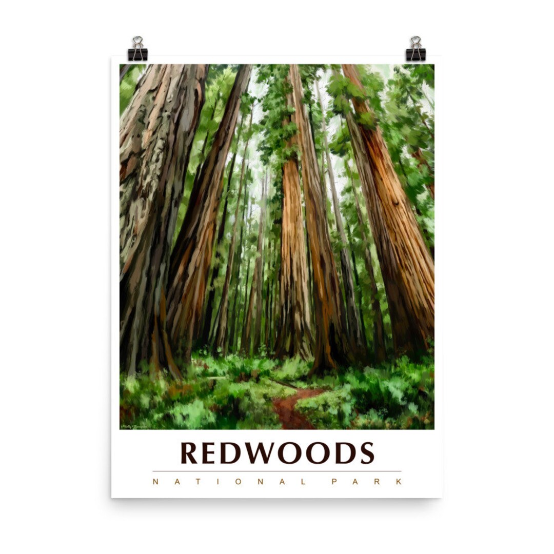 Redwoods National Park National Park Poster Travel Poster National Park ...