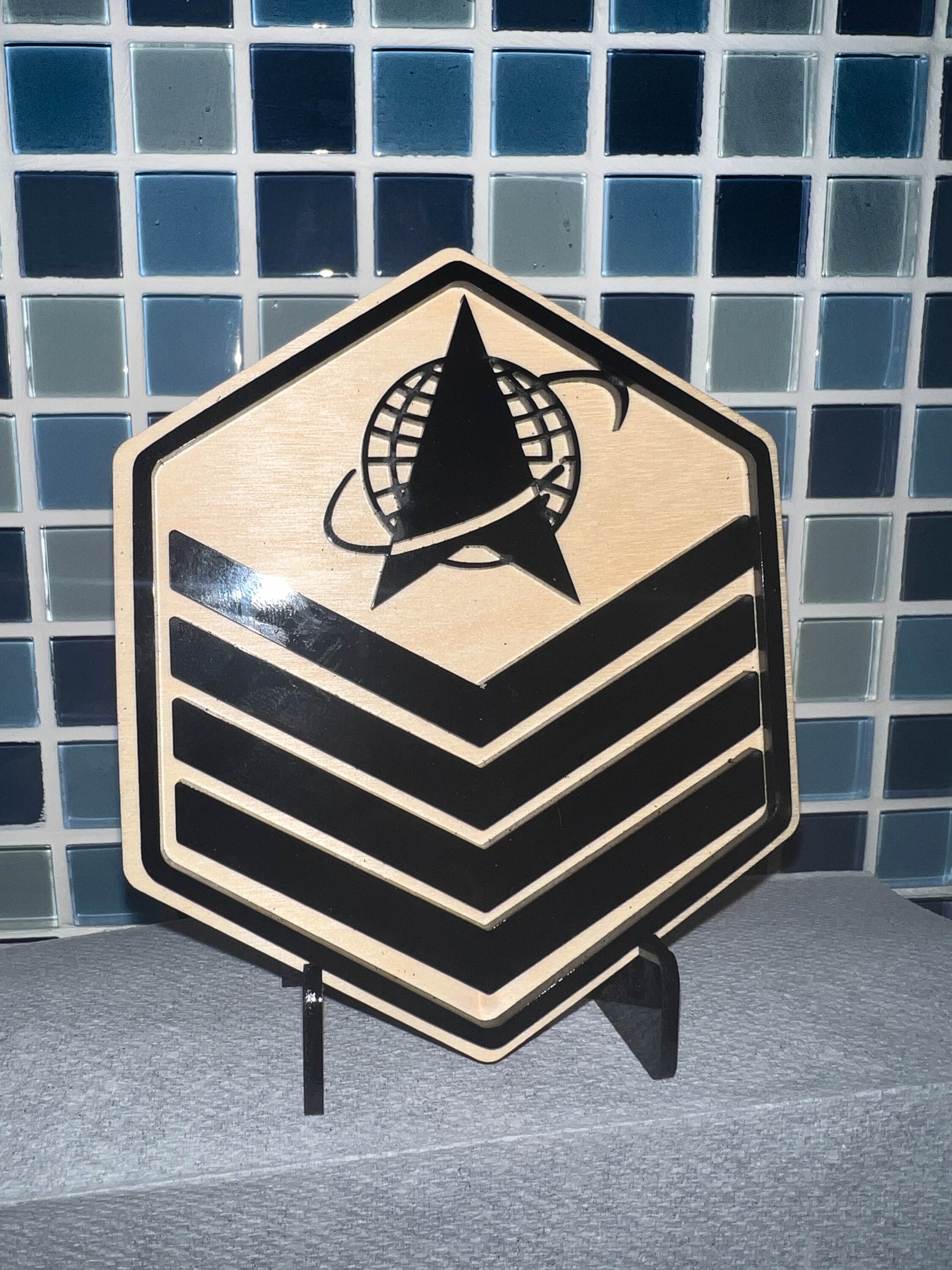 Space Force Promotion Gift Wood With Acrylic Rank Momento Includes ...