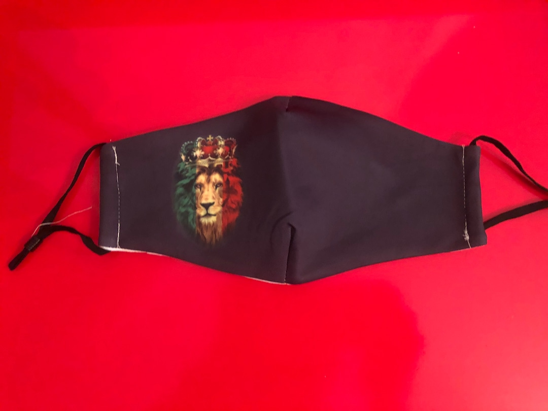 Rasta Colors Lion Face Mask With Filter and Adjustable Straps - Etsy