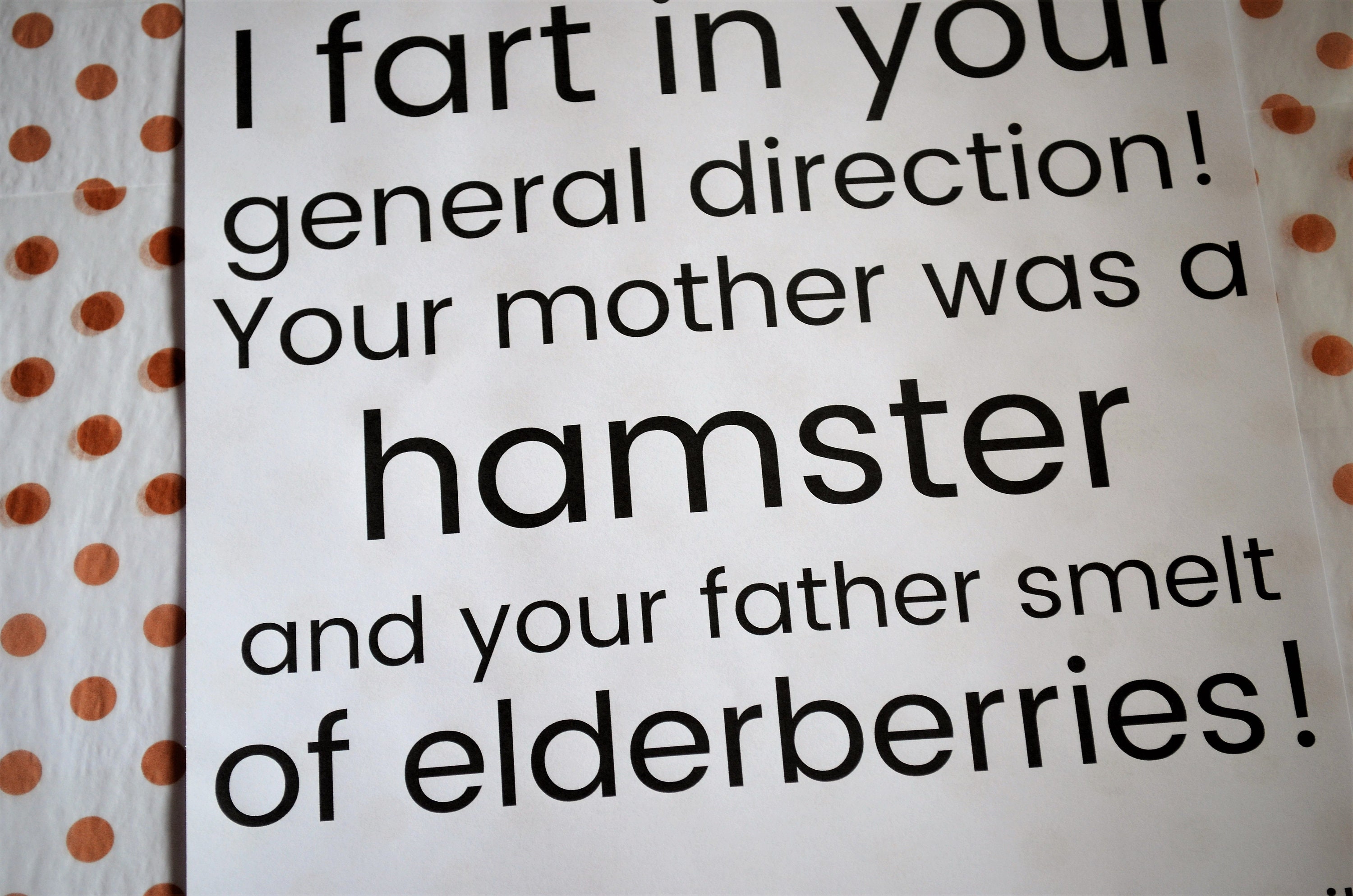 Monty Python and the Holy Grail Quote Your Mother Was A Hamster and ...