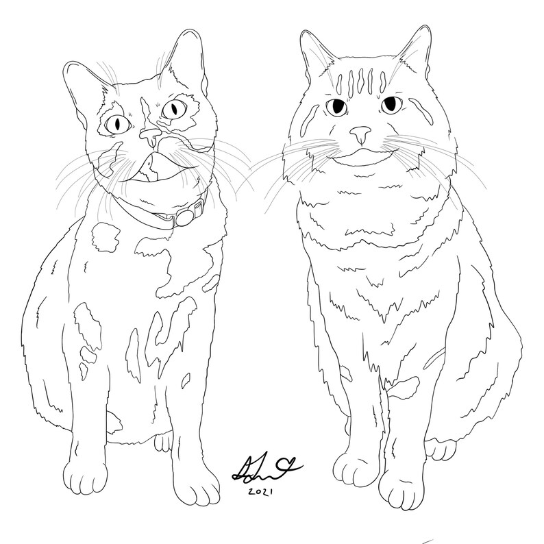 Custom Line Art | Cat Outlines | Digital Illustration | Custom Portrait ...
