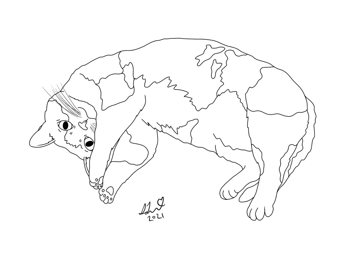 Custom Line Art | Cat Outlines | Digital Illustration | Custom Portrait ...