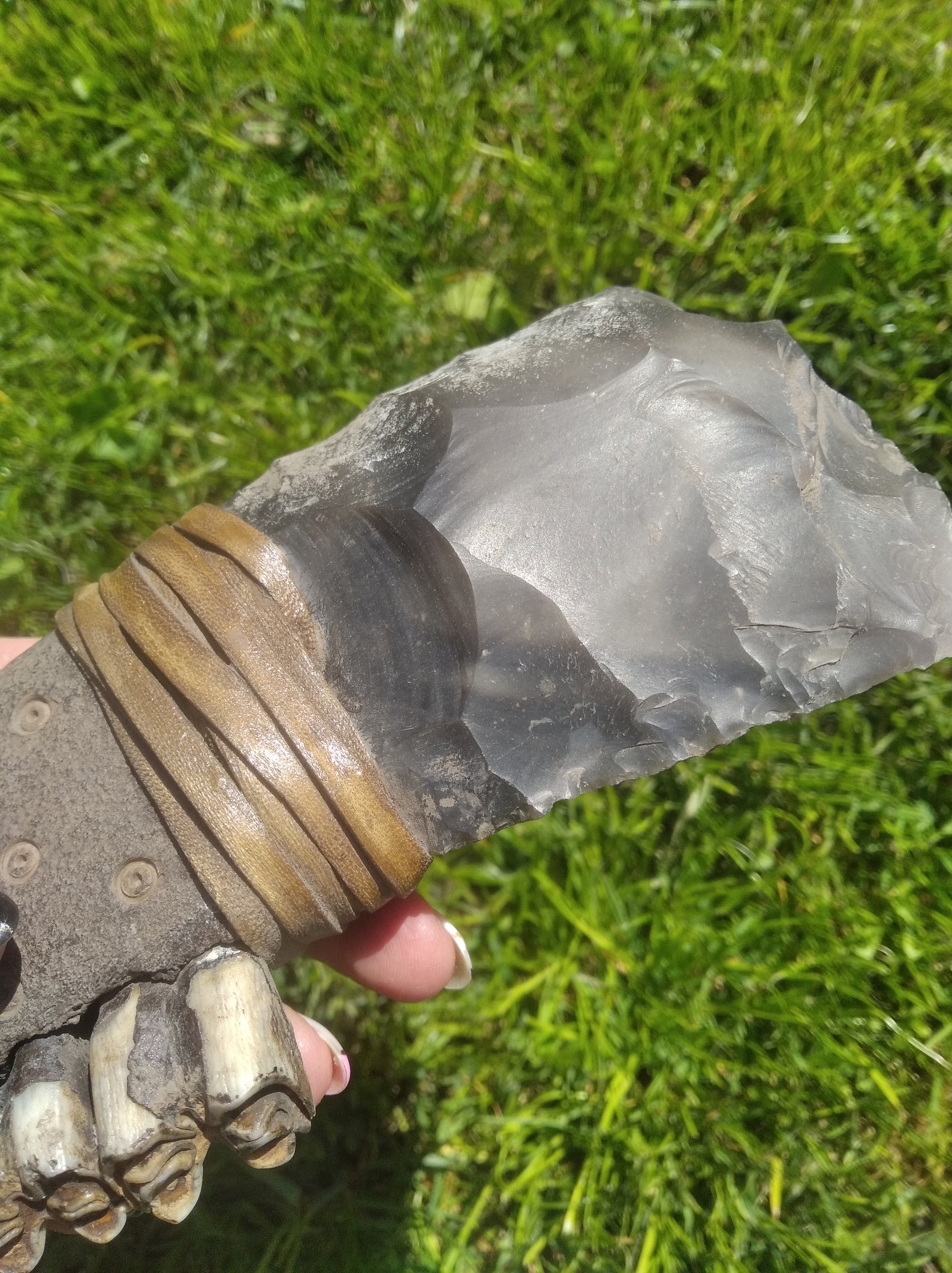 Massive Jaw Bone Dagger Primitive Rustic Knife Neolithic - Etsy