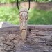Odin Amulet – Hand-carved Moose Antler Pendant | Viking Talisman, Norse ...
