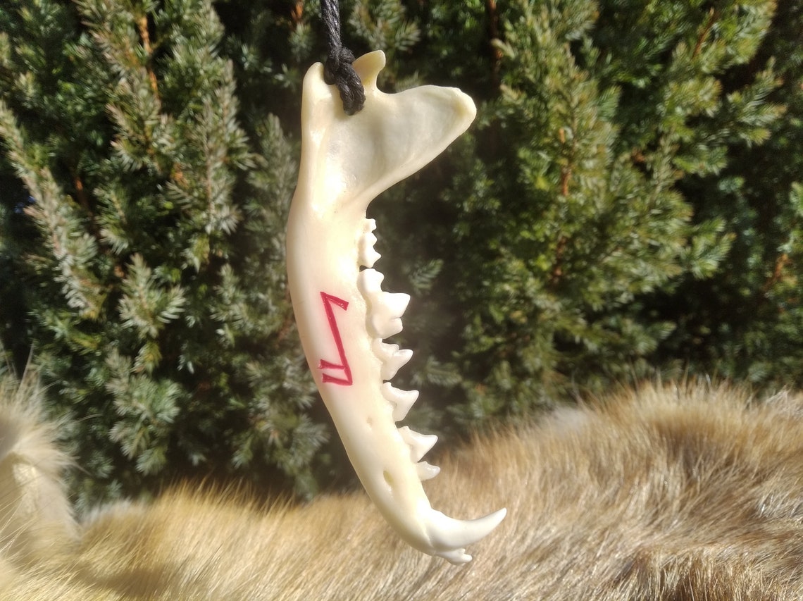 Fox Jaw Necklace With Viking Runes, Jaw Bone Shamanic Pendant ...