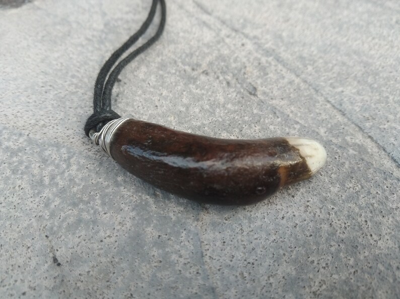 Wolf Tooth Necklace Fenrir Warriors Amulet Primitive Tribal - Etsy