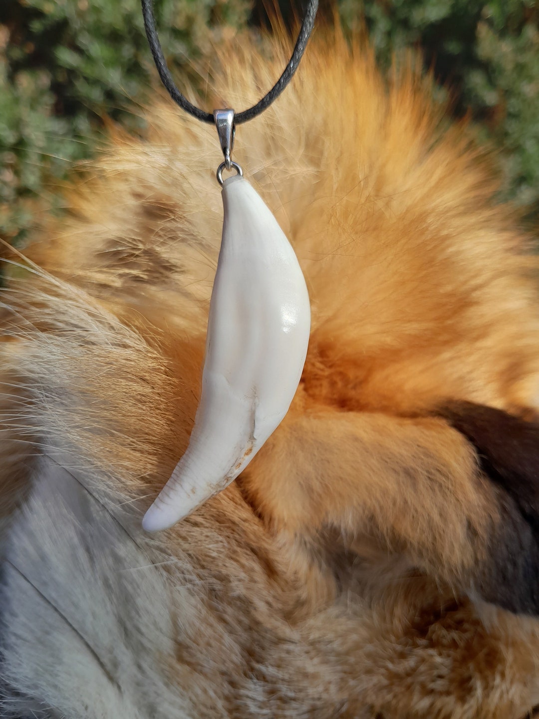 Large Wolf Tooth Amulet. Nordic, Pagan Totemic Pendant. Tribal, Shaman ...
