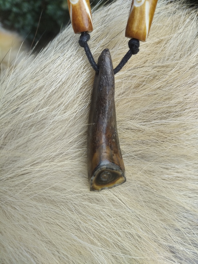 Primitive Rustic Ancient Tooth Amulet Viking Warrior Pendant. - Etsy