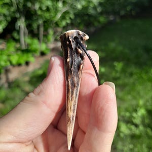 Viking Raven Amulet Hand-carved From Moose Antler With Algiz Rune ...