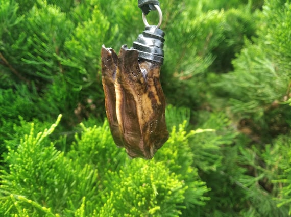 Ancient Tooth Amulet Viking Warrior Pendant. Viking Tooth | Etsy