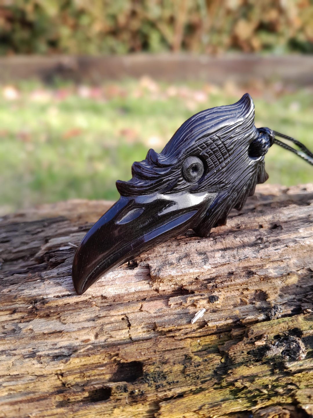 Buffalo Horn Hand-carved Norse Black Raven Amulet With an Algiz Rune ...