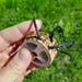Moose Antler Hand-carved Solar Cross / Sun Cross Amulets With Carnelian ...