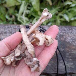 Handmade Shamanic Bone Amulet. Viking Warrior Pendant. Pagan, Ethnic ...
