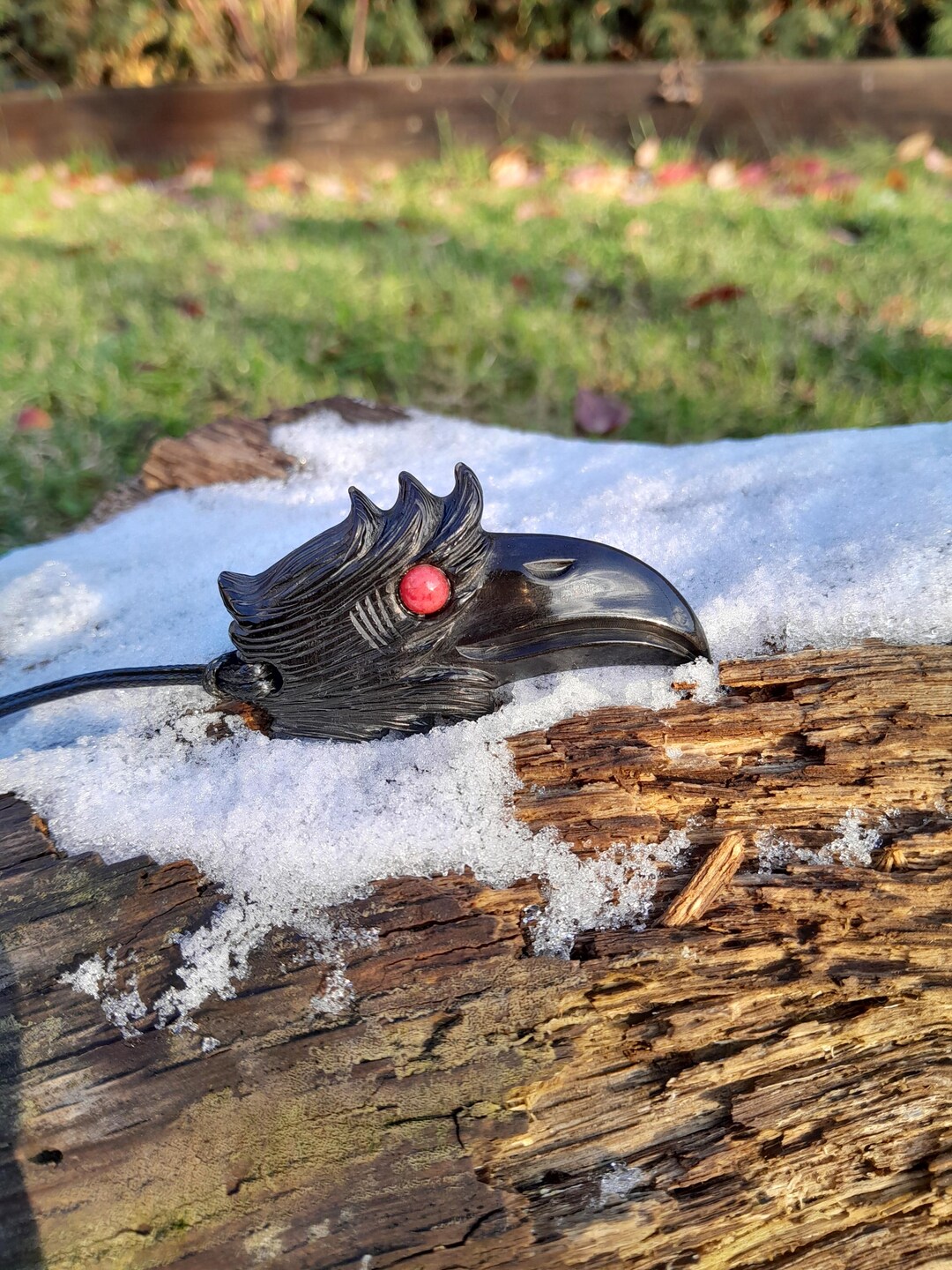 Unique Viking Black Raven Amulet With Red Eye and Protective Algiz Rune ...