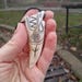 Dragon Head Moose Antler Amulet – Hand-carved Viking Pendant With Algiz ...