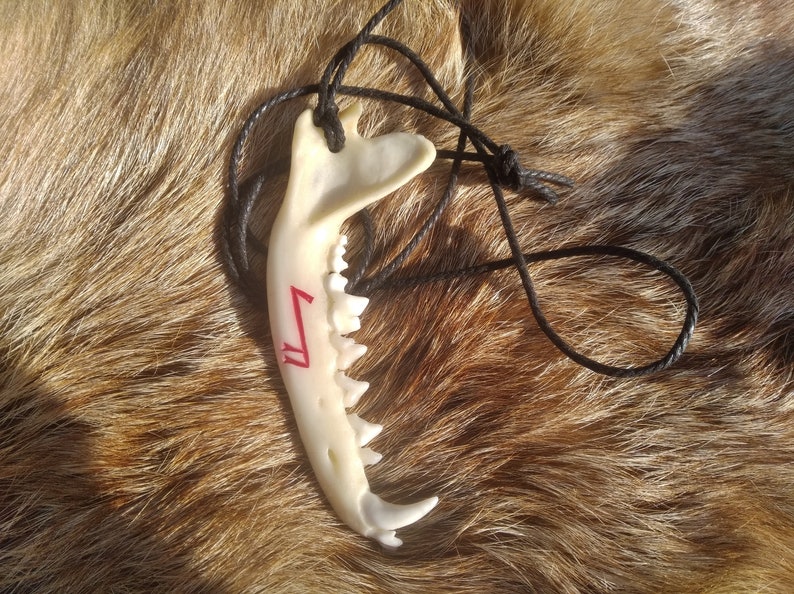 Fox Jaw Necklace With Viking Runes Jaw Bone Shamanic Pendant - Etsy
