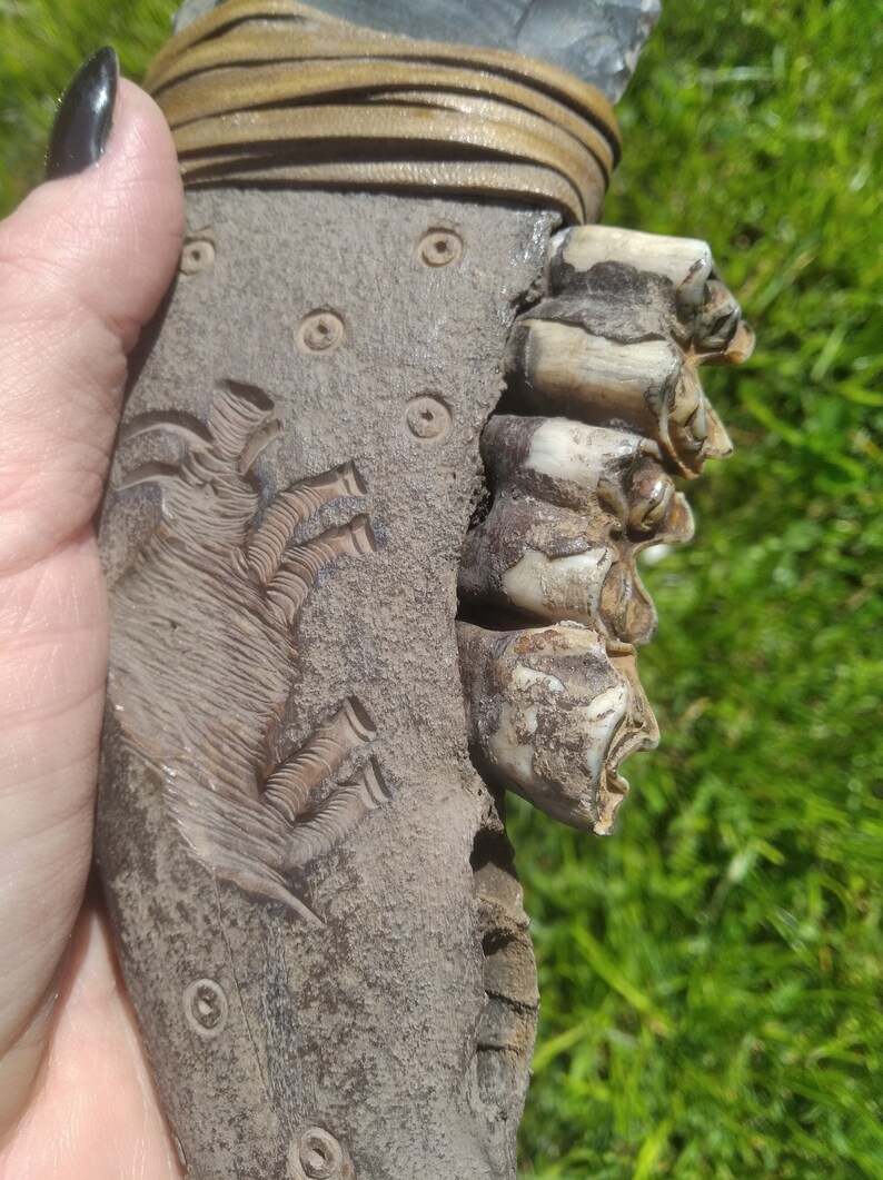 Massive Jaw Bone Dagger Primitive Rustic Knife Neolithic - Etsy