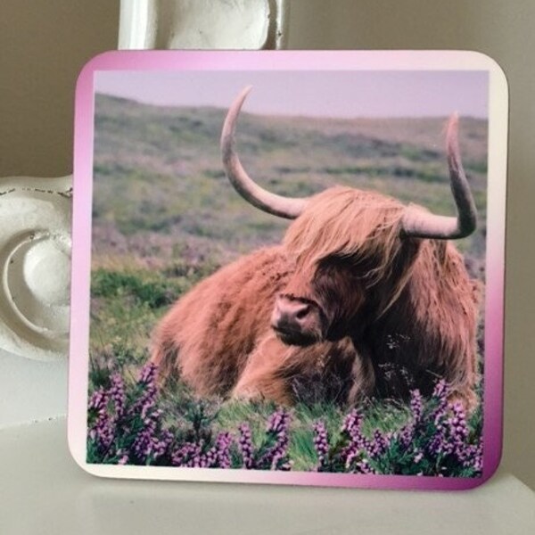 Scottish Coo Coaster - Etsy