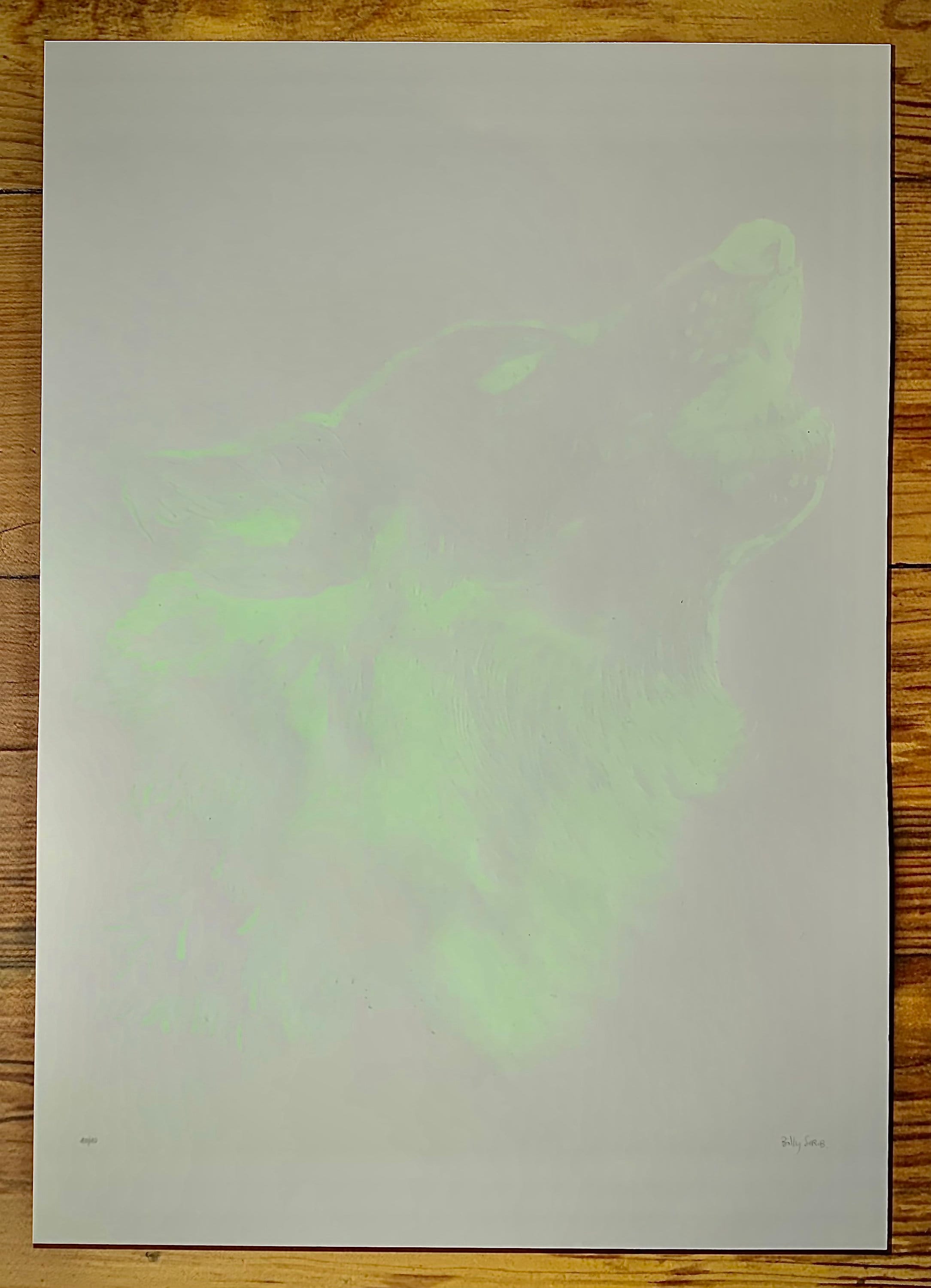 She-wolf POSTER SILKSCREEN PRINTING - Etsy