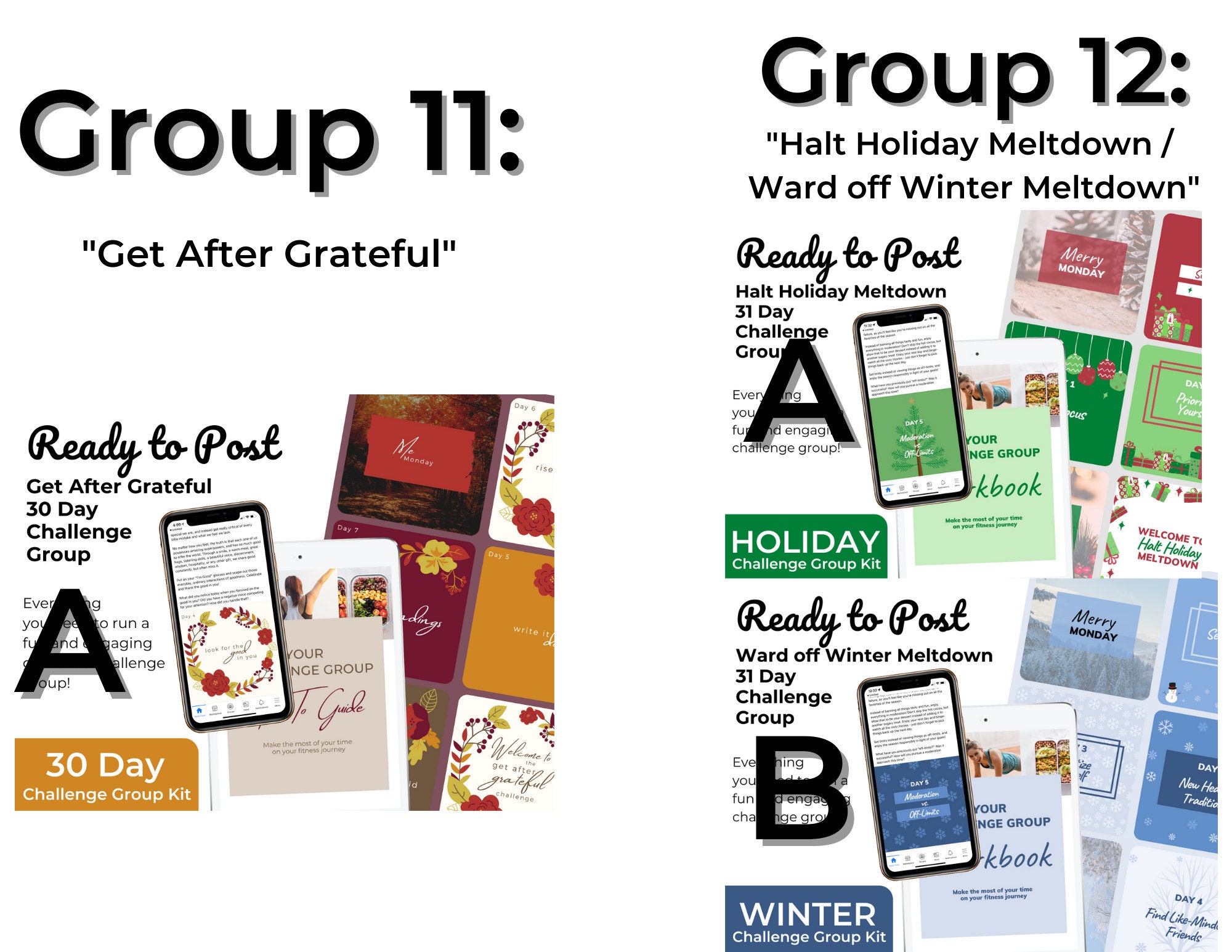 Editable Monthly Wellness Challenge Group Guide Bundle, 30 Day ...