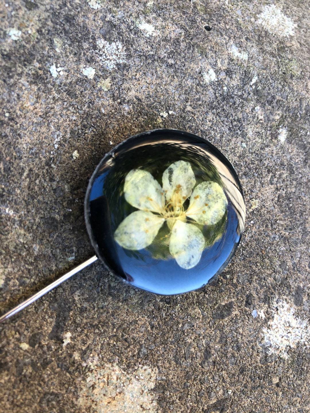 Genuine Dried Flower Brooch, Botanical Brooch, Flower Jewellery ...