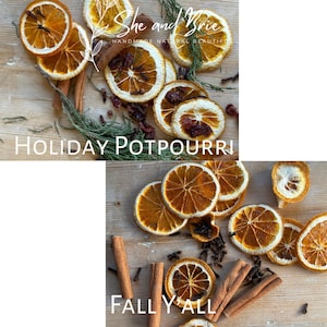 Winter Wonder Stovetop Simmering Pot Potpourri Set/ Natural Fruit and ...