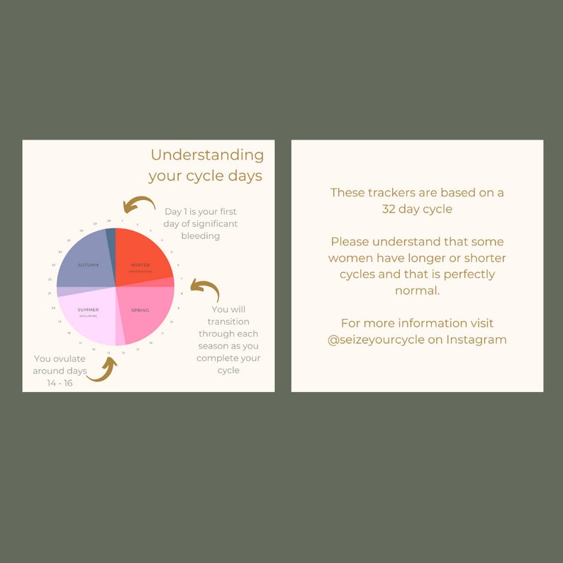 Menstrual Cycle Trackers Understand And Optimise Each Season Etsy