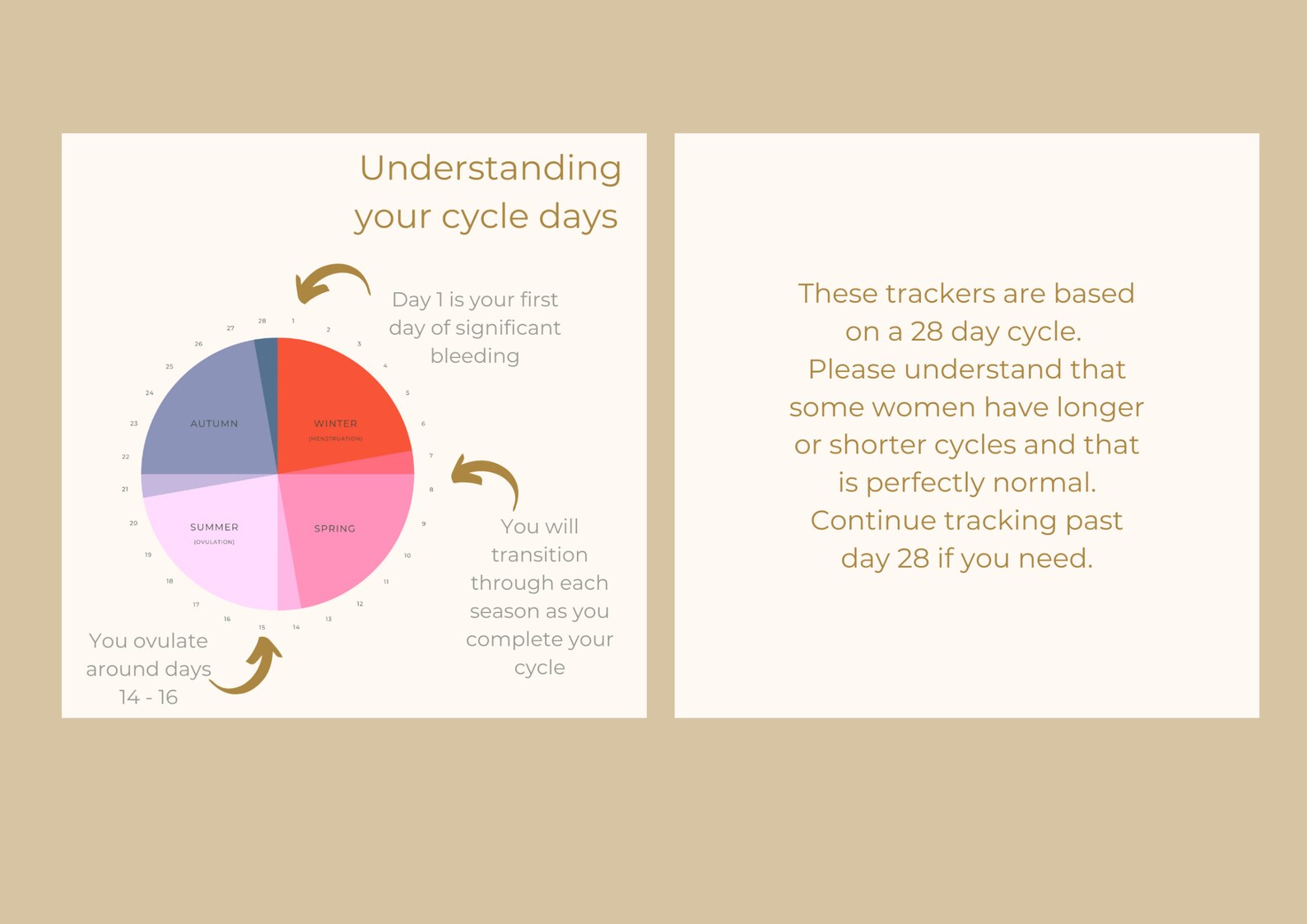 Menstrual Cycle Trackers Understand And Optimise Each Season Etsy