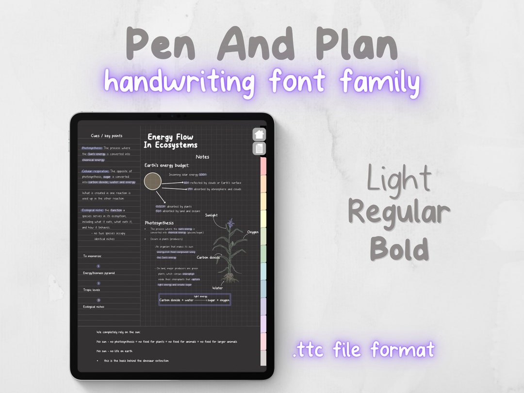 Pen and Plan Handwriting Font Family for Digital Note Taking, Cute ...