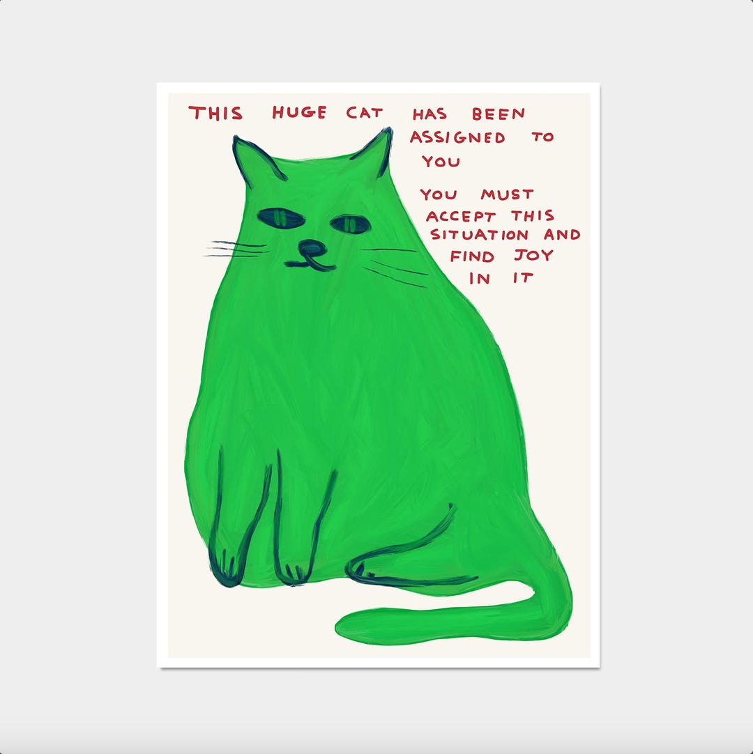 David Shrigley. This Huge Cat. Cat Poster. Contemporary Art. Funky Wall ...