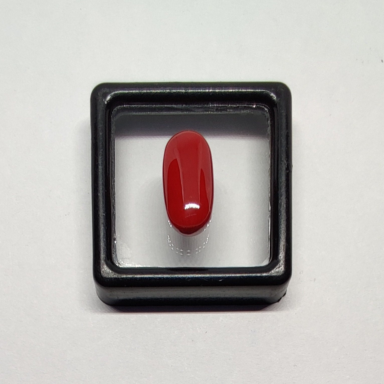 BLOOD Red Coral Italian Red Coral Loose OVAL Shape - Etsy