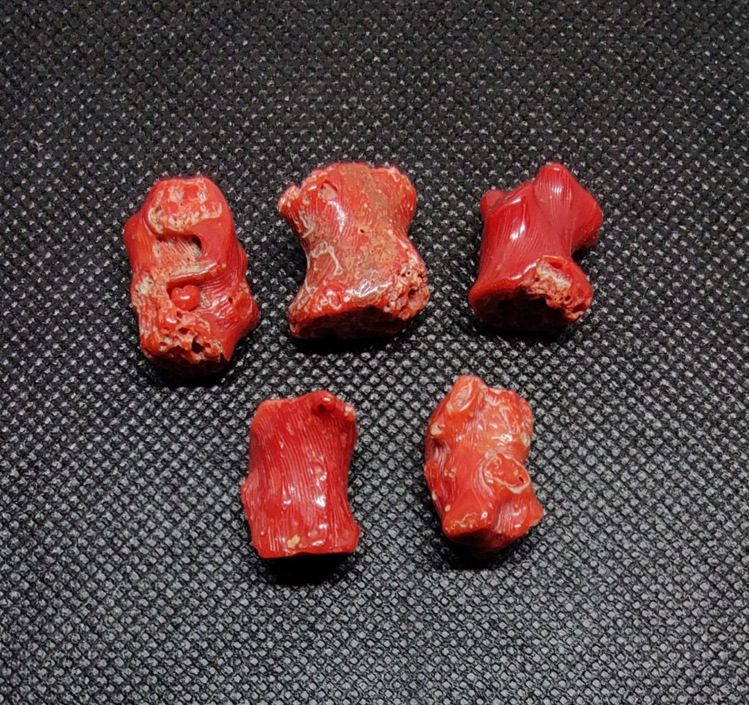 Coral Cut Pieces 74 Carats 100% Natural Italian Red Coral Polished ...