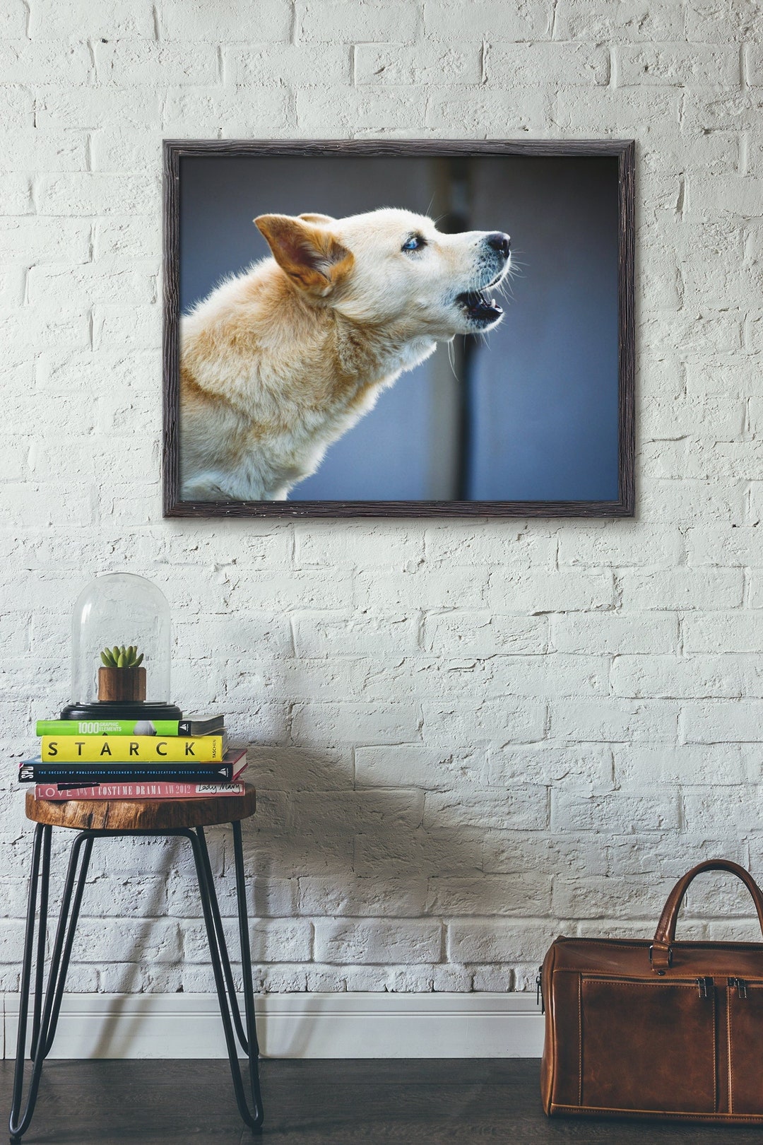 Lobo Puertorriqueño - Wolf-like Dog Howling - Puerto Rico Photography ...