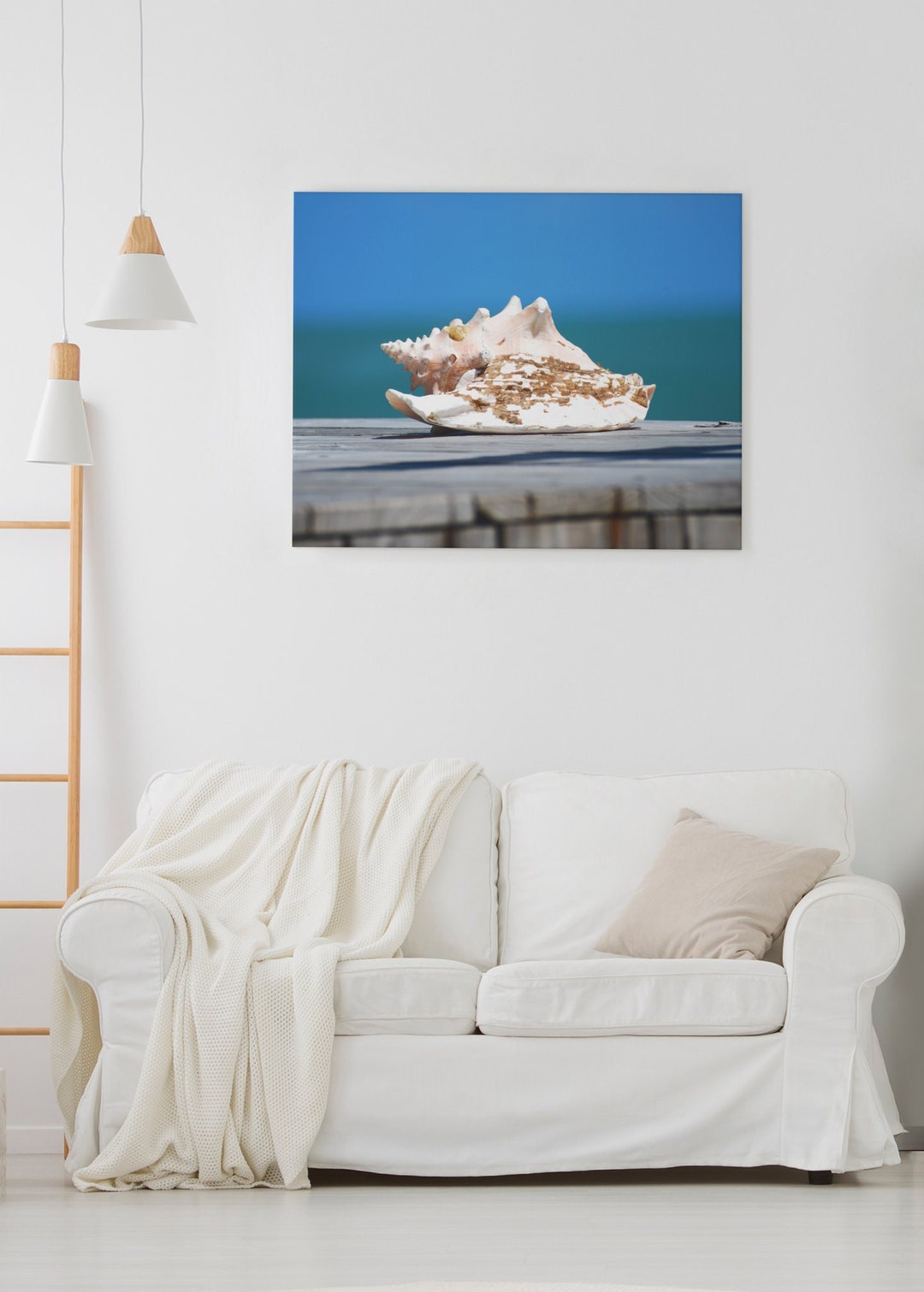 Dominican Republic Seashell Photograph – Coastal Wall Art - Etsy